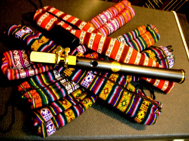 Xaphoon専用ケース