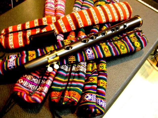 Xaphoon専用ケース